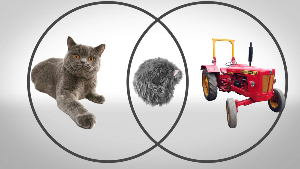 The Not-a-Cat Cat: The World's First Cat That Isn't. Plush - Giftee...