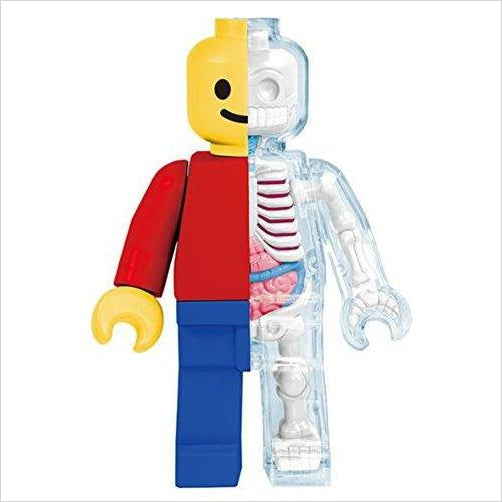 Lego Brick Man Anatomy Model - Gifteee | Unique Gifts